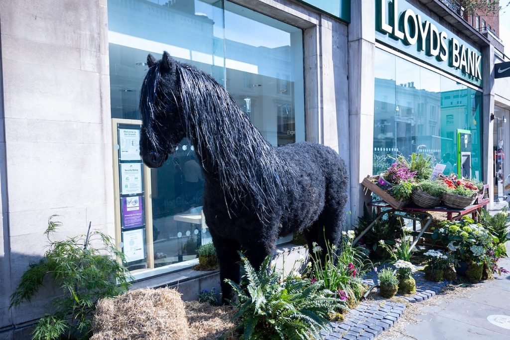 Lloyds launches new Ultra credit card with cashback and no monthly ...
