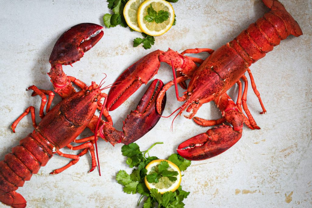 Boiling lobsters alive to be banned in the UK - HotMinute