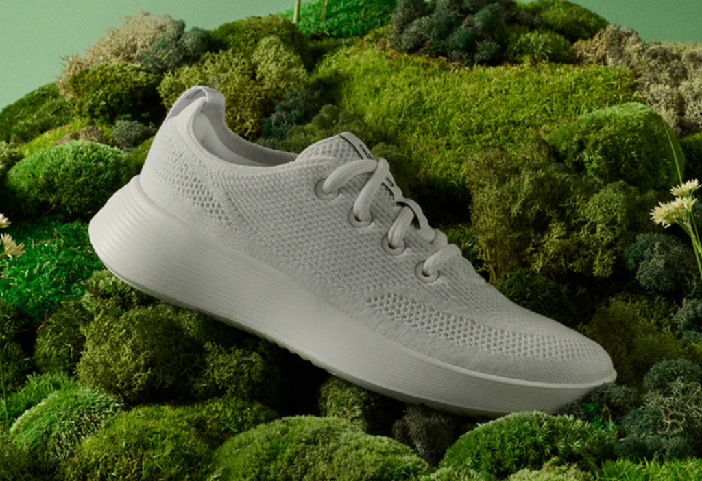 Allbirds made some of my favourite shoes – now they are an AI company ...